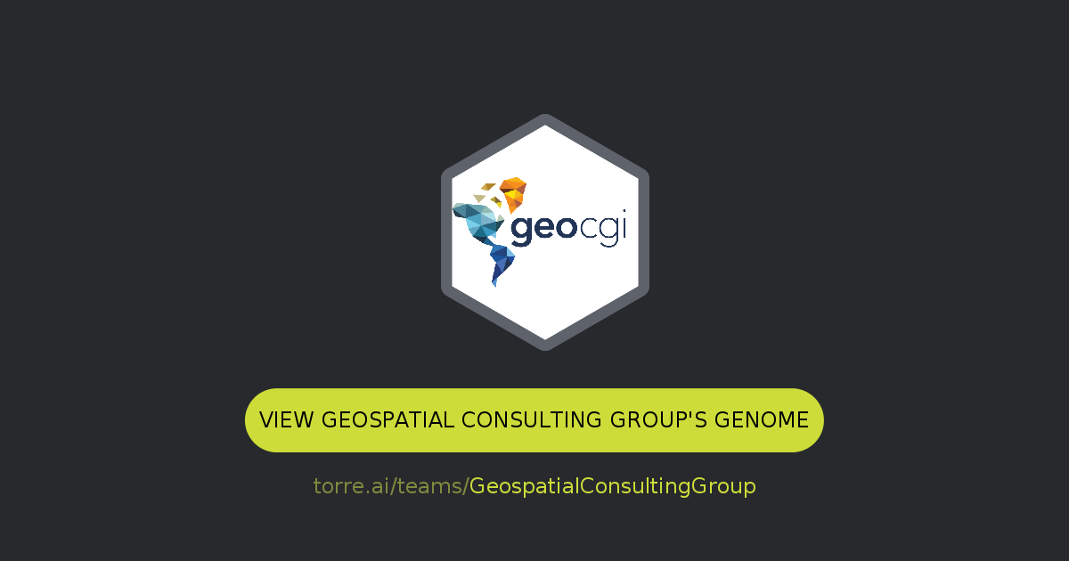 Geospatial Consulting Group | Torre