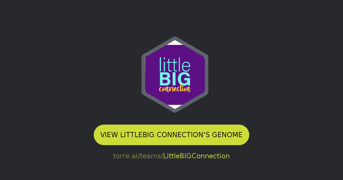 LittleBIG Connection | Torre