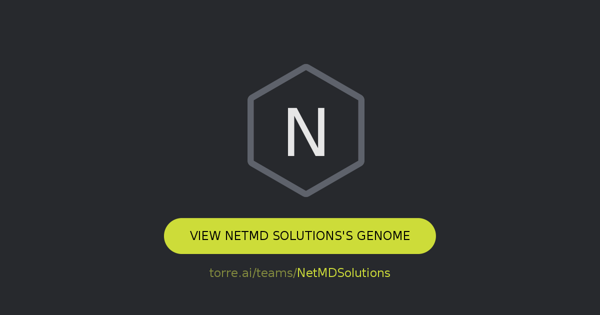 NetMD Solutions | Torre