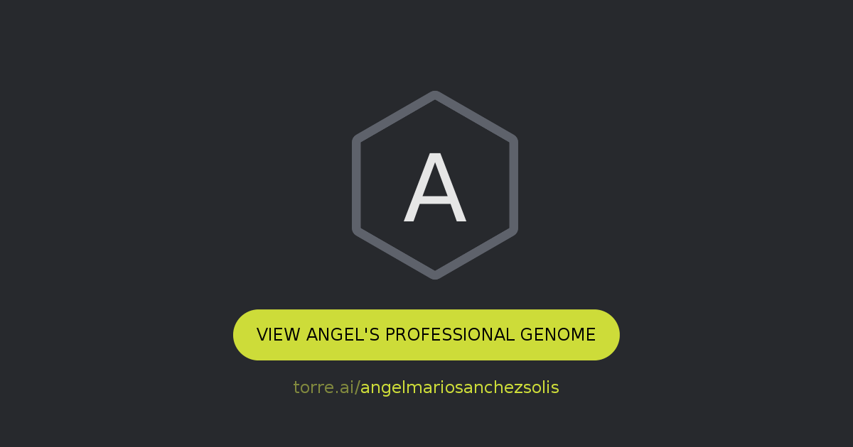 Angel Mario Sánchez Solís | Torre.ai