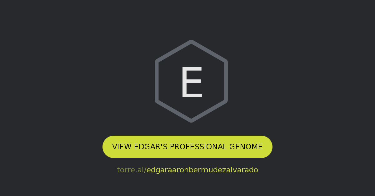 Edgar Aaron Bermúdez Alvarado | Torre.ai